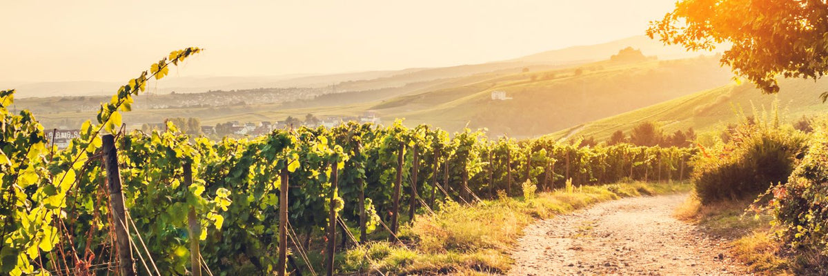 LEIDER GEIL Chardonnay Réserve 2023